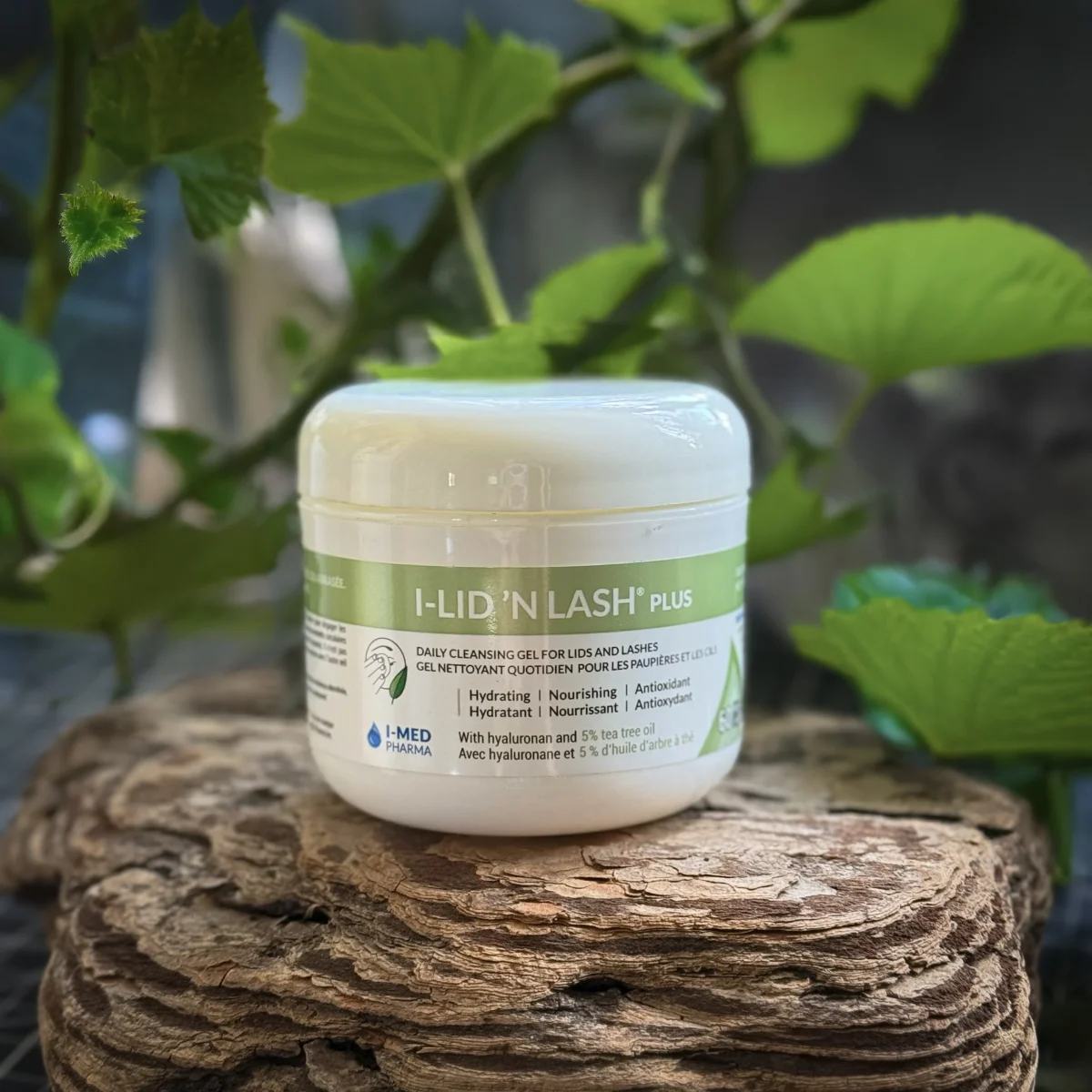 I-LID 'N LASH | #1 Best Optometrist Endored Daily Lid Wipes